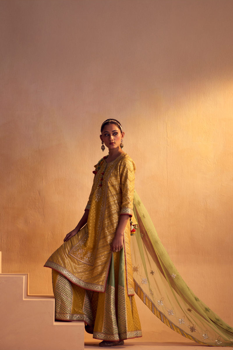 Gulrang Long Kurta & Sharara – Simar Dugal